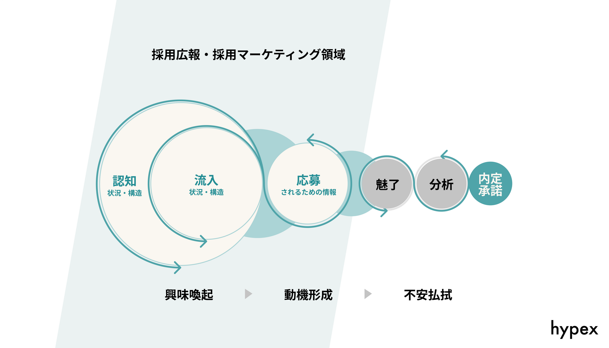 募集要項 株式会社hypex インターン | IKETERU