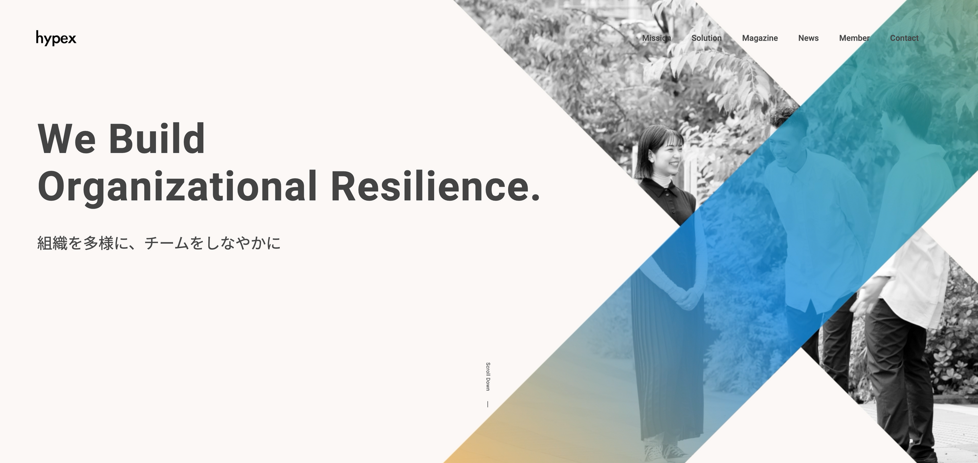 募集要項 株式会社hypex インターン | IKETERU